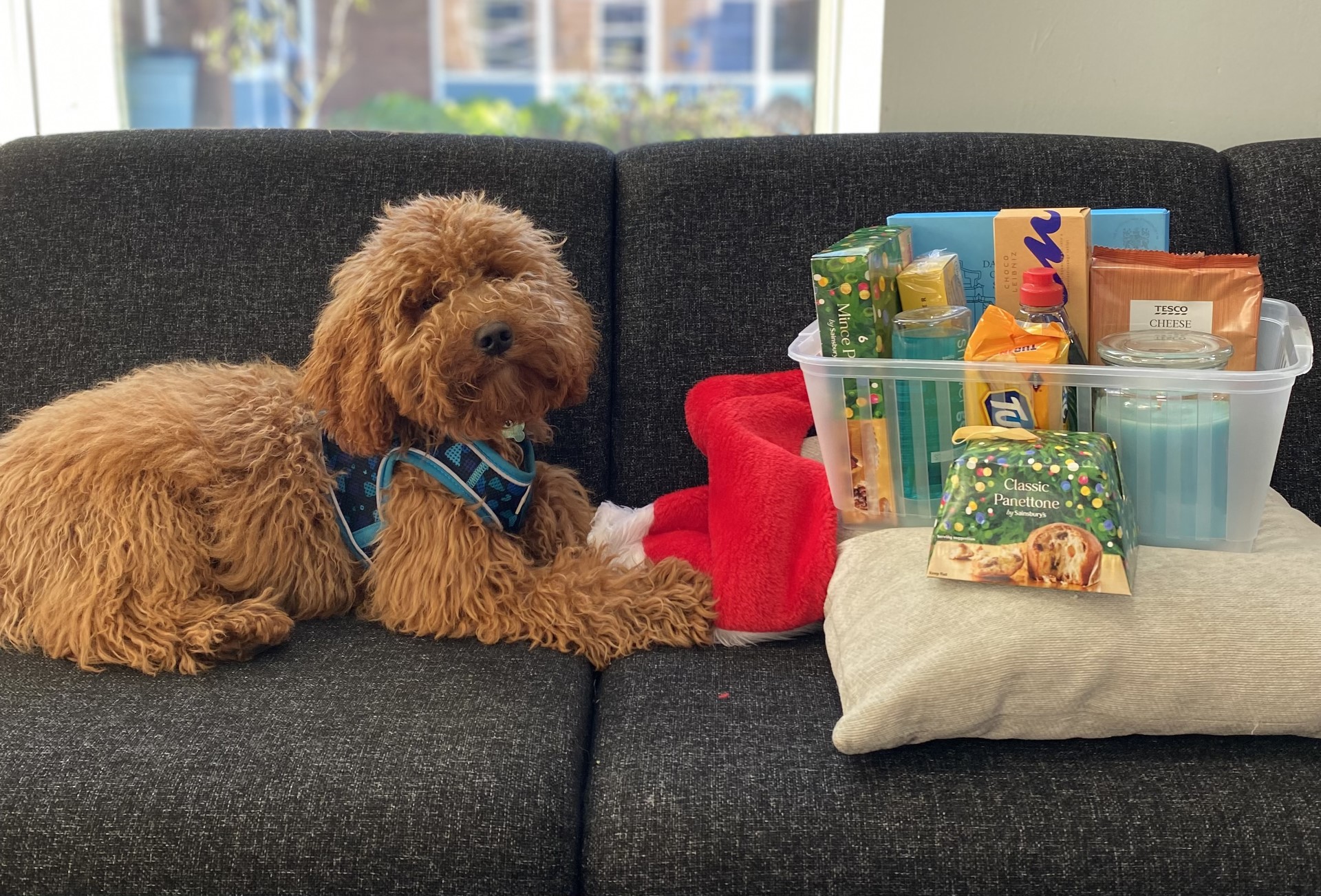 THE STOKE POGES SCHOOL - Working with our School / Local Community